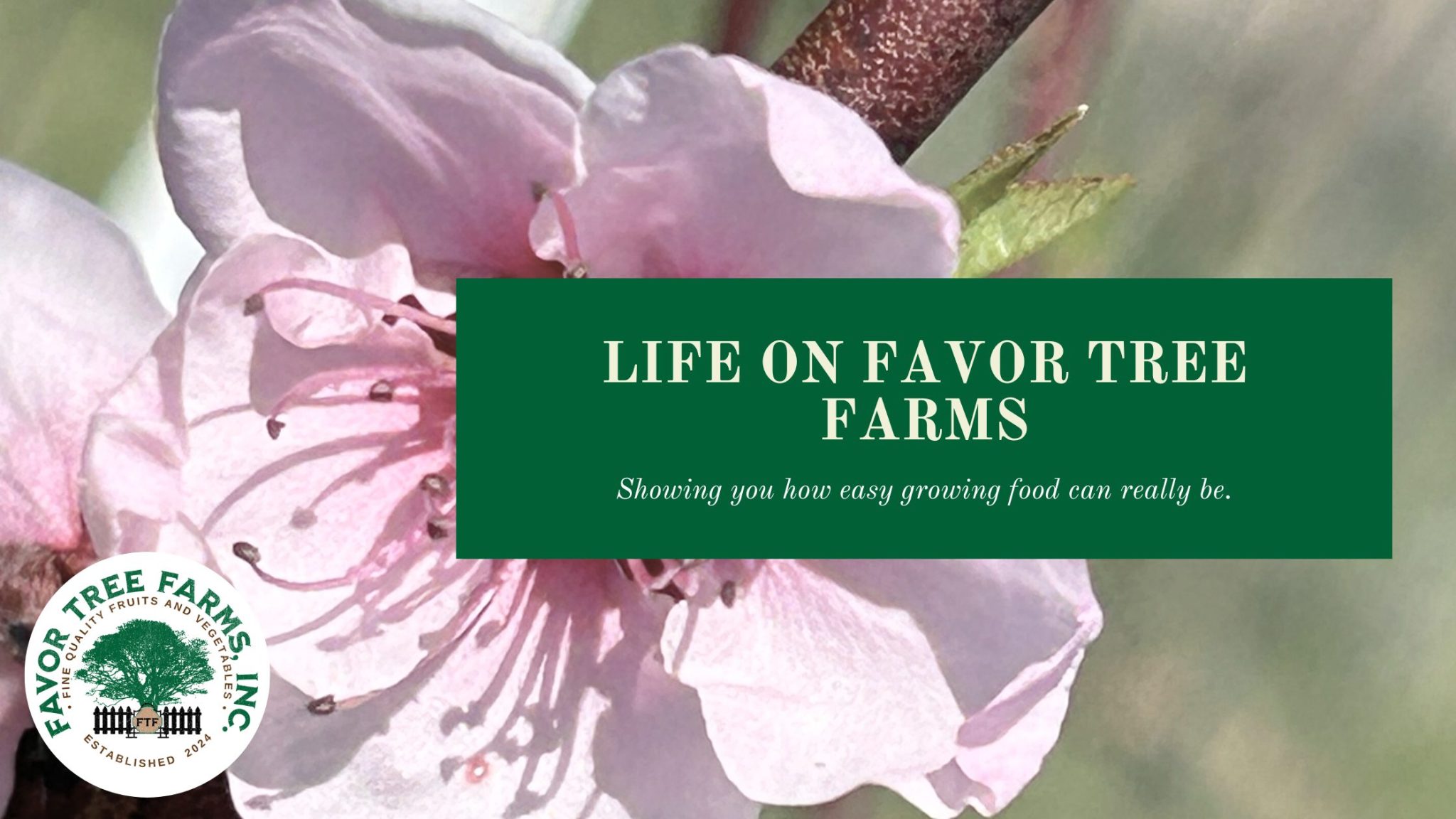 Welcome to Life on Favor Tree Farms